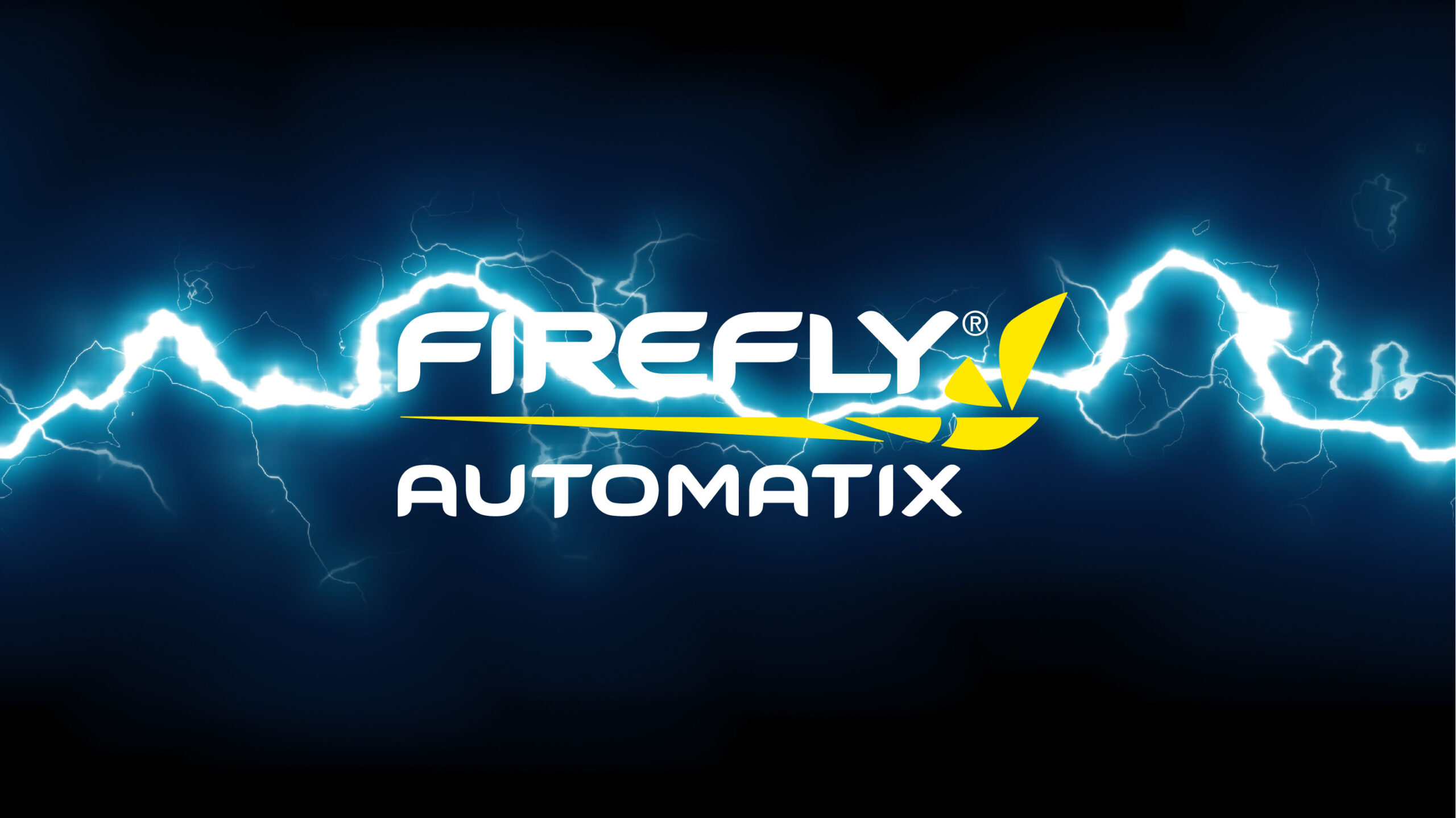A Leader in Electric Vehicles - FireFly
