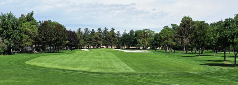 Smarter Stripes, Traditional Turf: Create 50/50 Mowing Patterns in ...